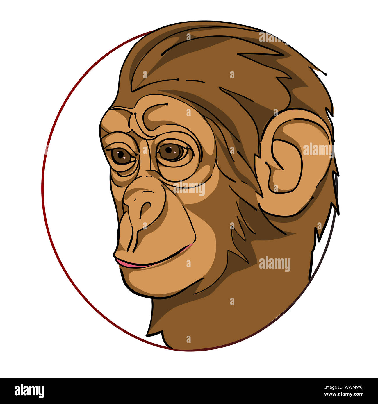 Genius monkey Cut Out Stock Images & Pictures - Alamy
