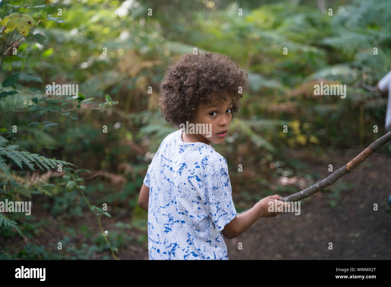 Child in forest hi-res stock photography and images - Alamy