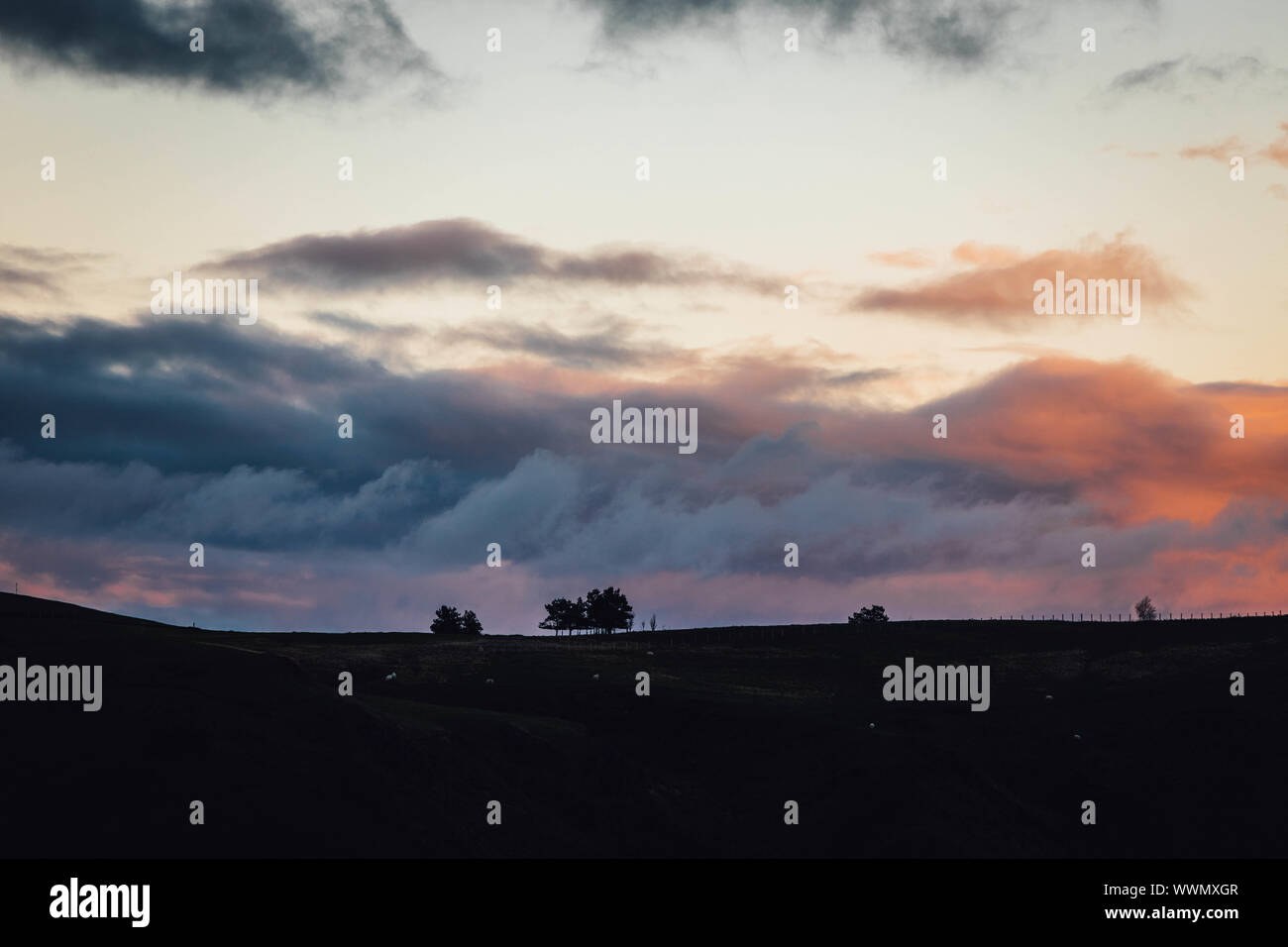Along the ridge at sunset over the Long Mynd Stock Photo - Alamy