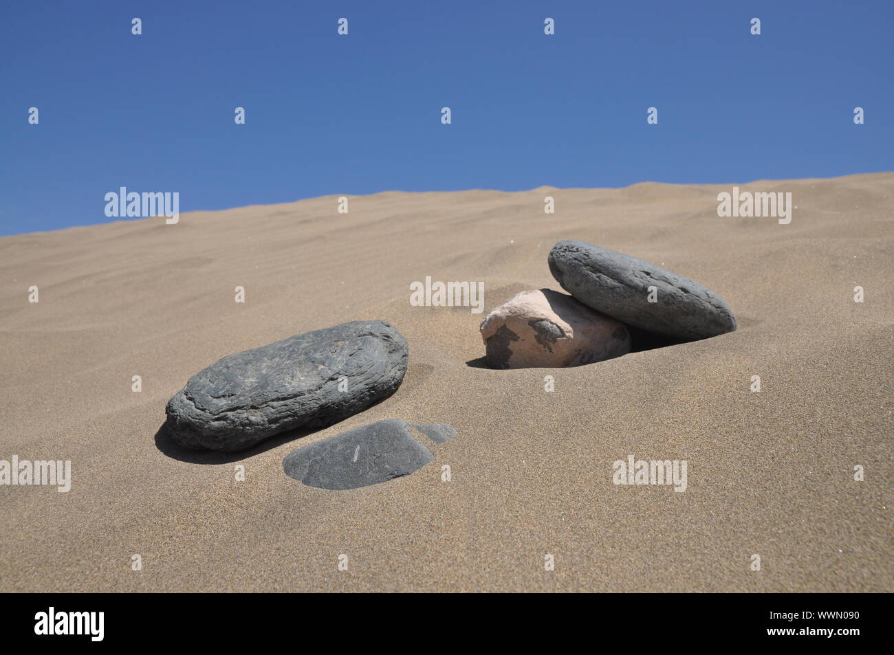 Stones in the sand Stock Photo - Alamy