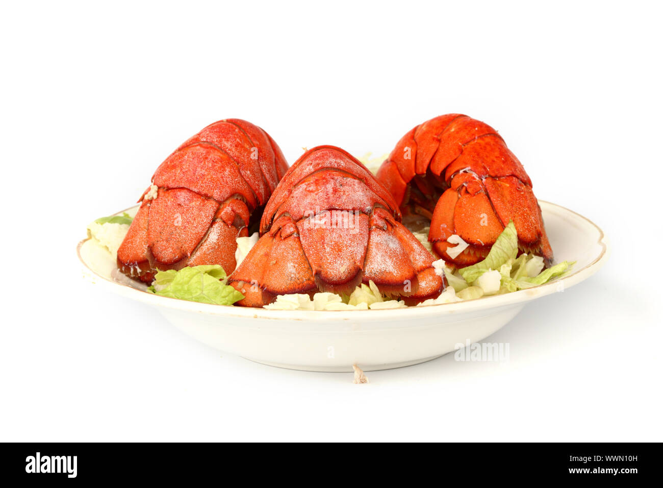 red lobster tail close up Stock Photo - Alamy