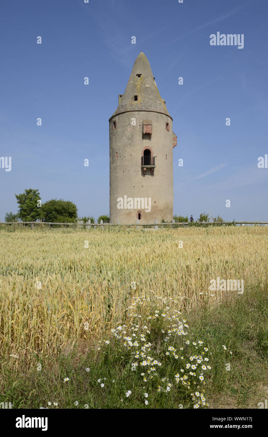Waiting tower near Schaafheim Stock Photo - Alamy