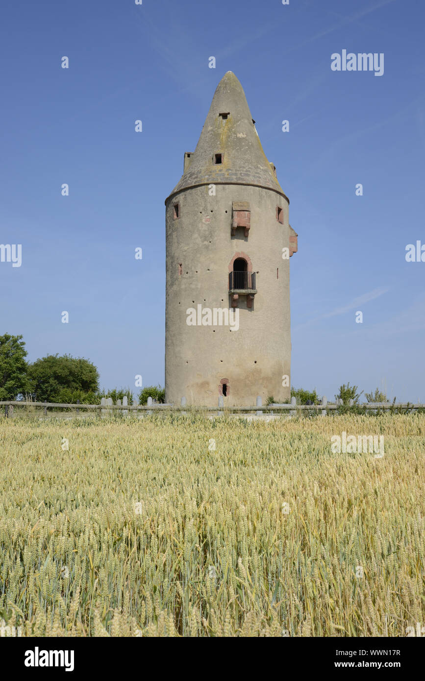 Waiting tower near Schaafheim Stock Photo - Alamy