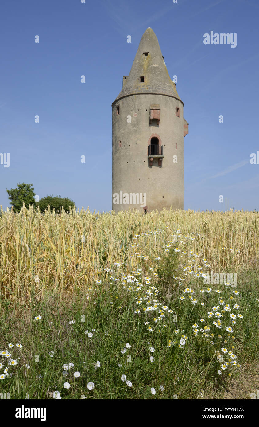 Waiting tower near Schaafheim Stock Photo - Alamy