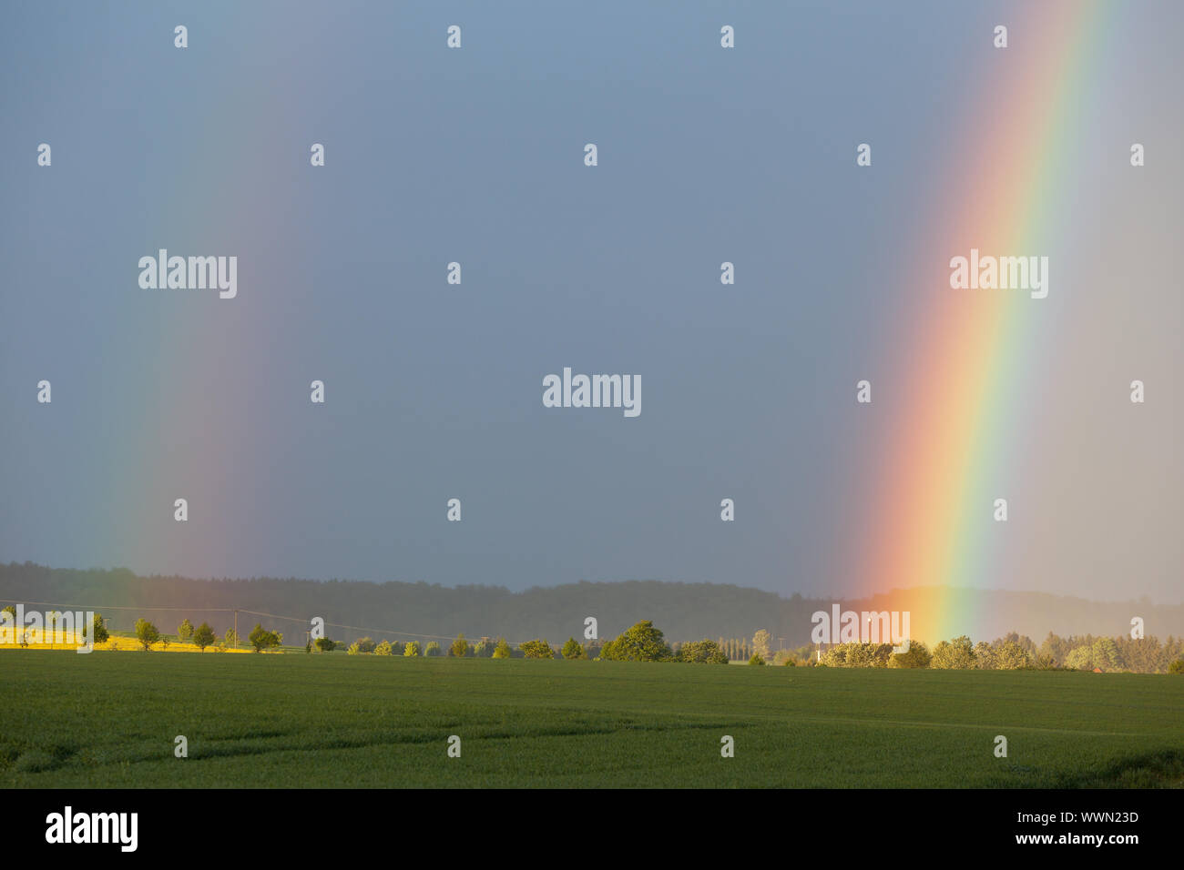 Rainbow color light hi-res stock photography and images - Alamy