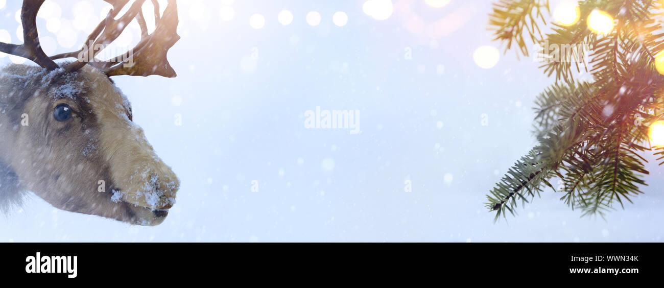 Christmas Santa Claus deer and Christmas tree on blue snow background ...