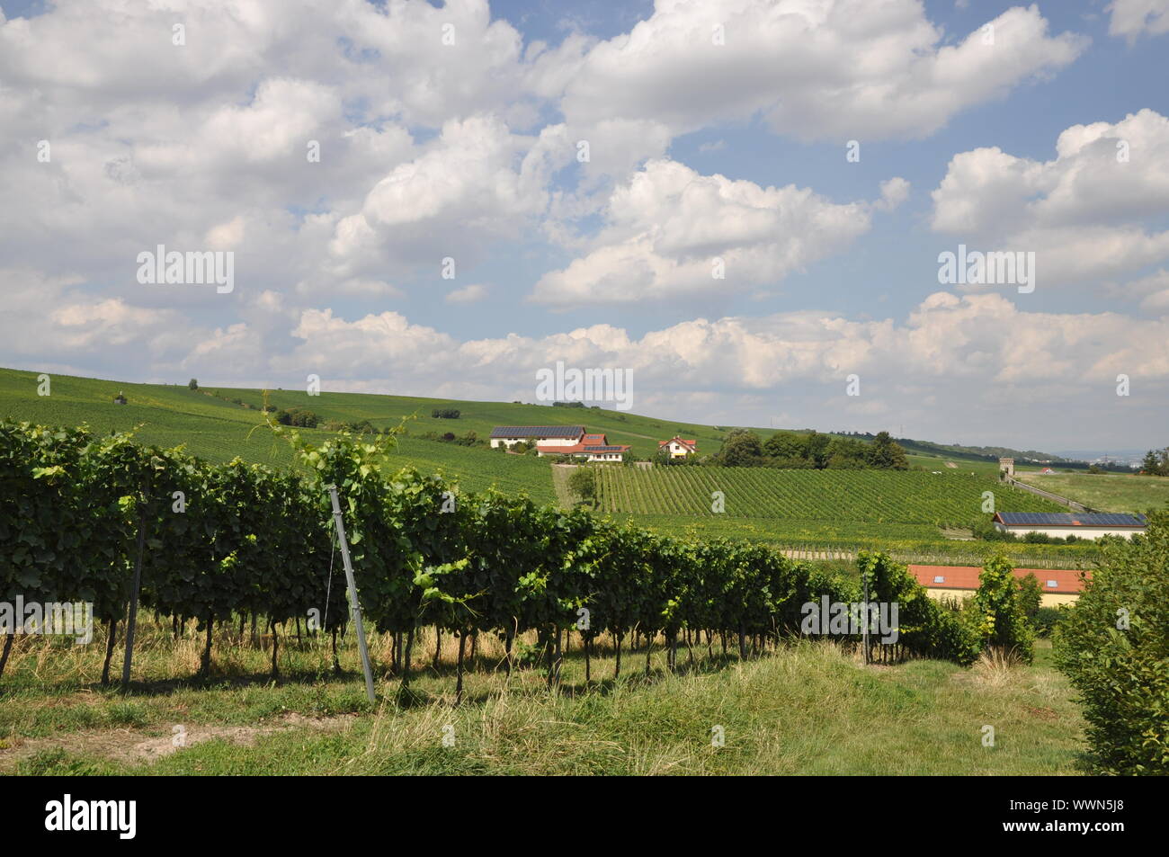 Bodenheim hi-res stock photography and images - Alamy