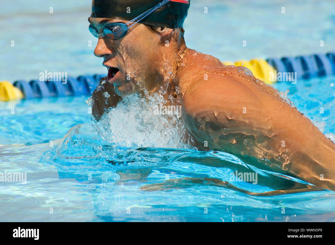 Swimmers competitive practice hi-res stock photography and images - Alamy