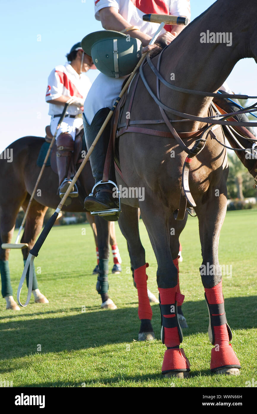 Polo field activities hi-res stock photography and images - Alamy