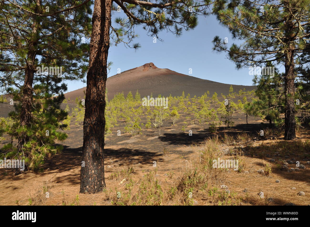 Volcan Garachico High Resolution Stock Photography and Images - Alamy