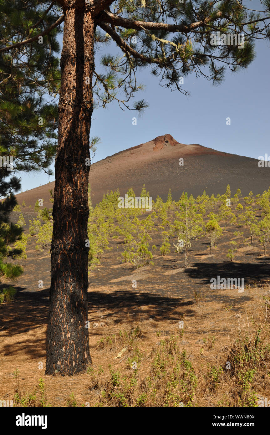Volcan Garachico High Resolution Stock Photography and Images - Alamy