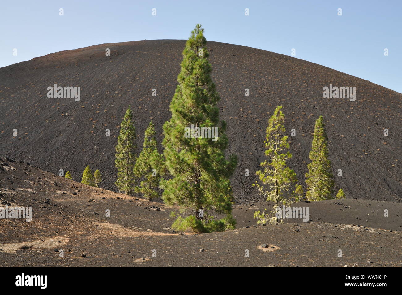 Garachico Volcano (black volcano), Teneriffa Stock Photo - Alamy
