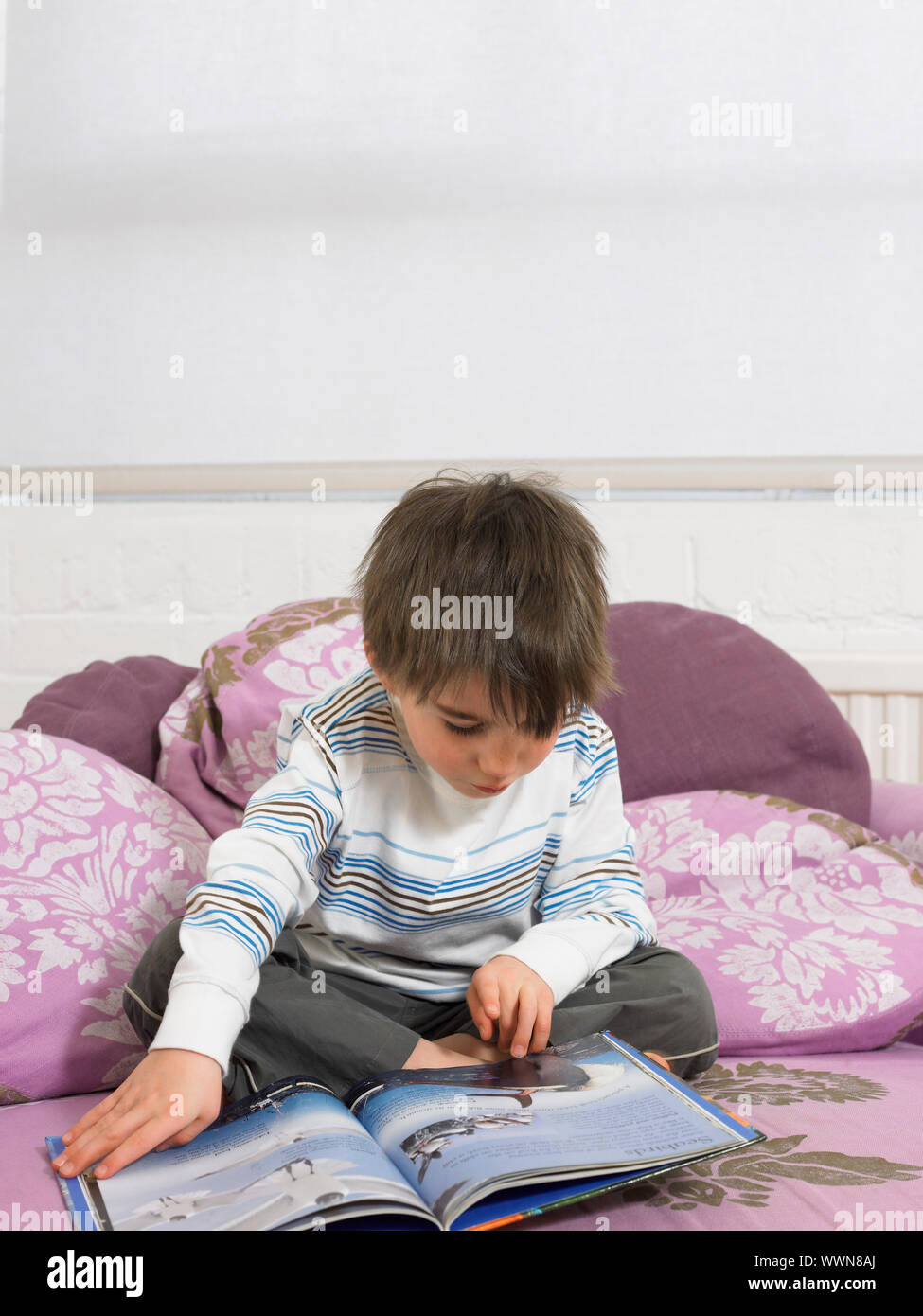 Boy Reading Picture Book Stock Photo - Alamy