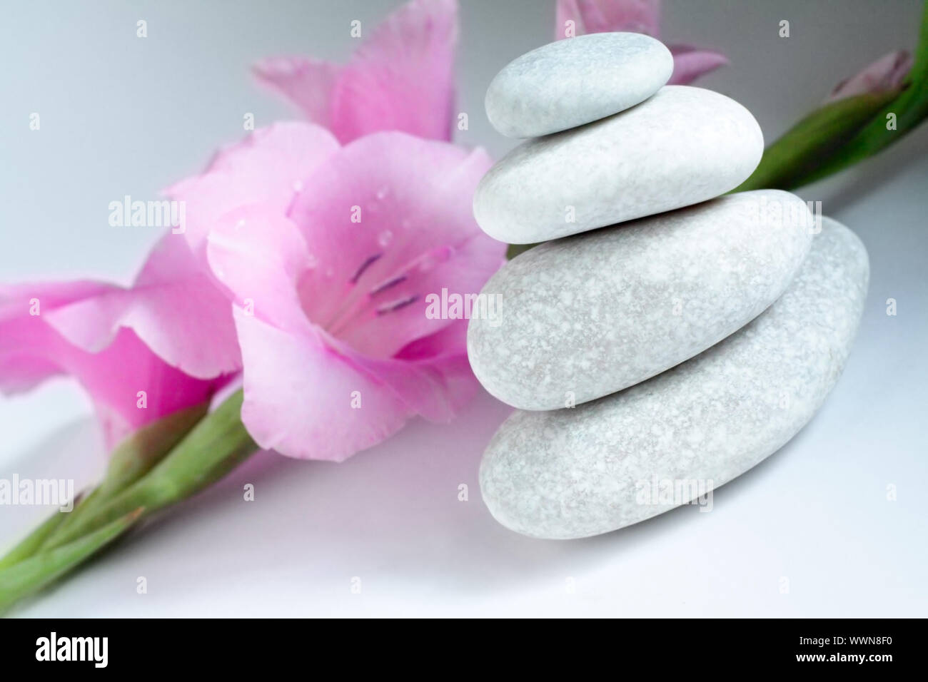 Stone recovery hi-res stock photography and images - Alamy