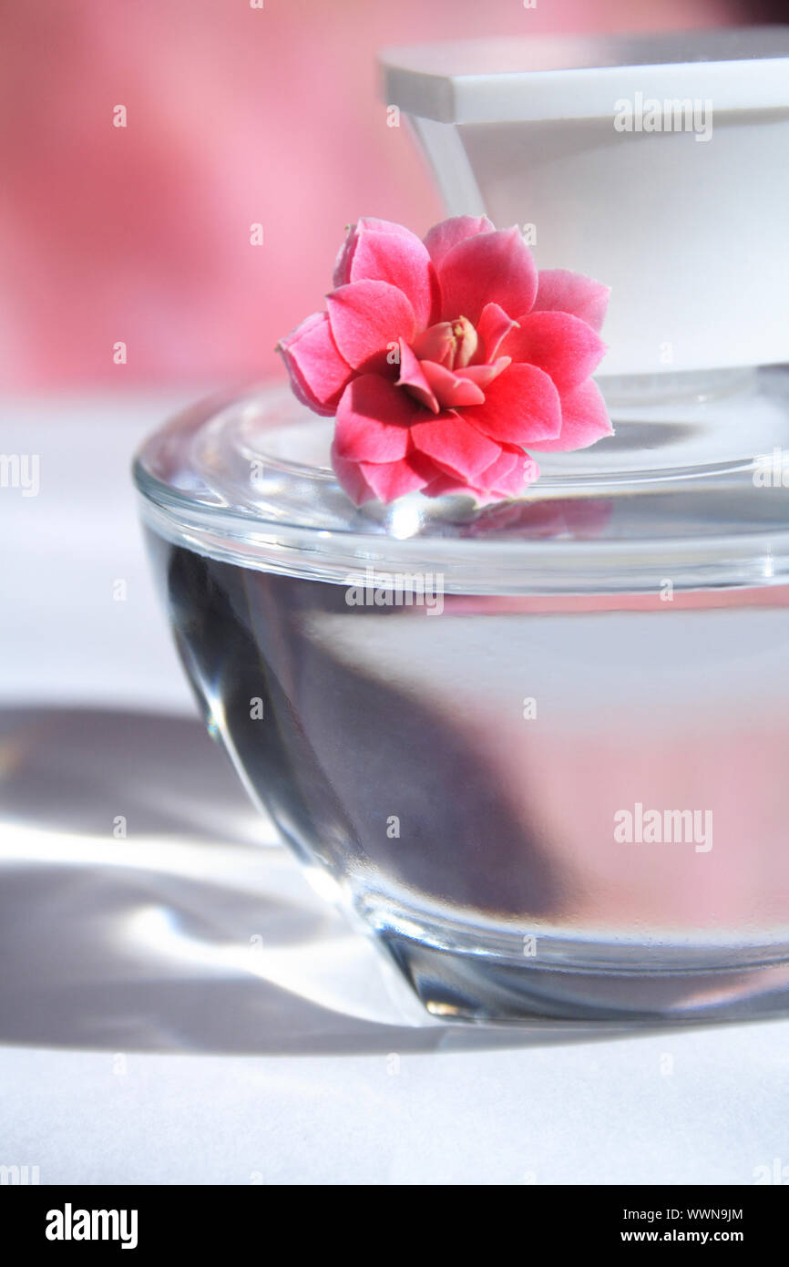 perfume bottle with red flowers with reflection Stock Photo - Alamy