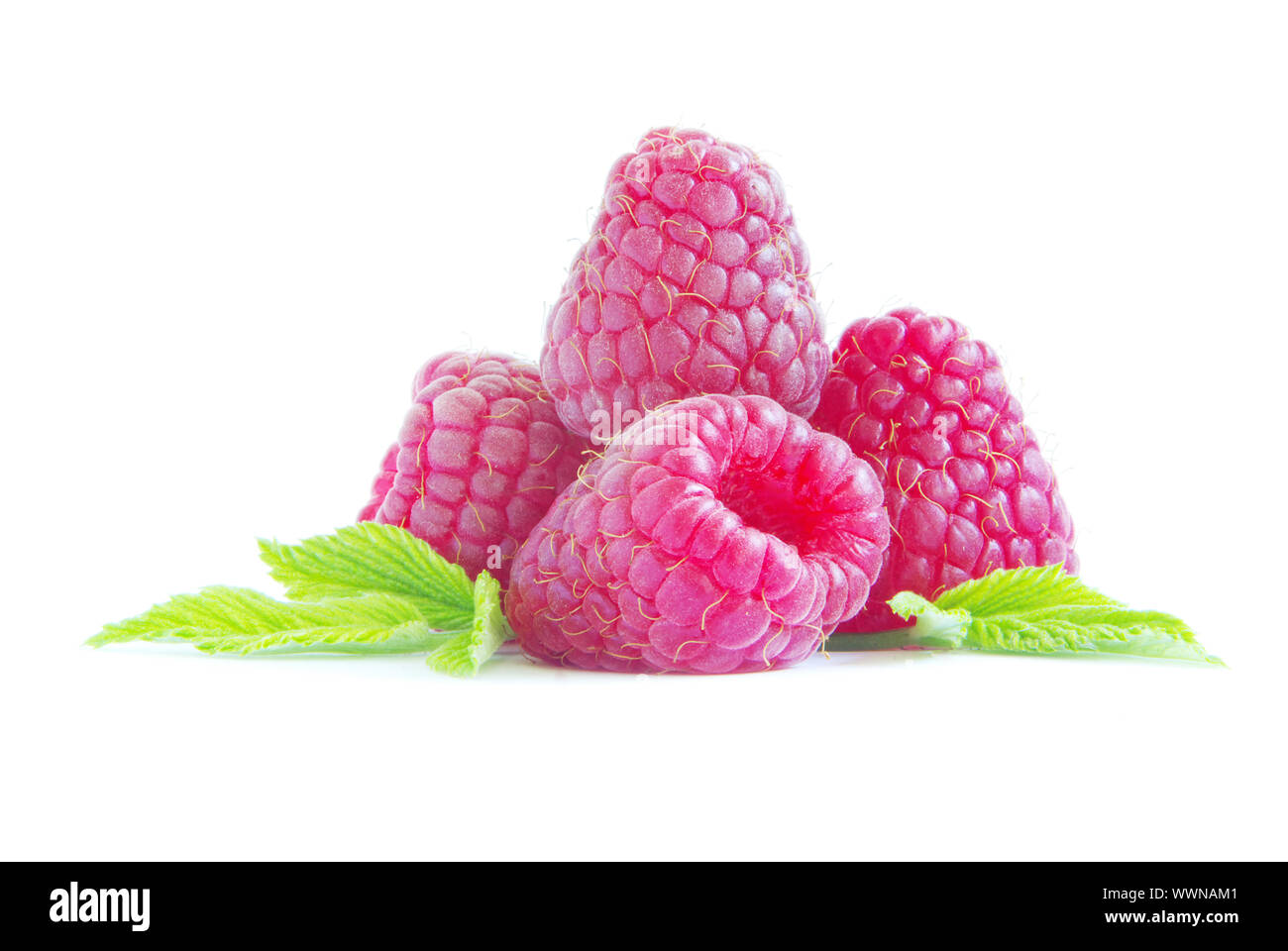 Ripe raspberry isolated on a white background Stock Photo - Alamy