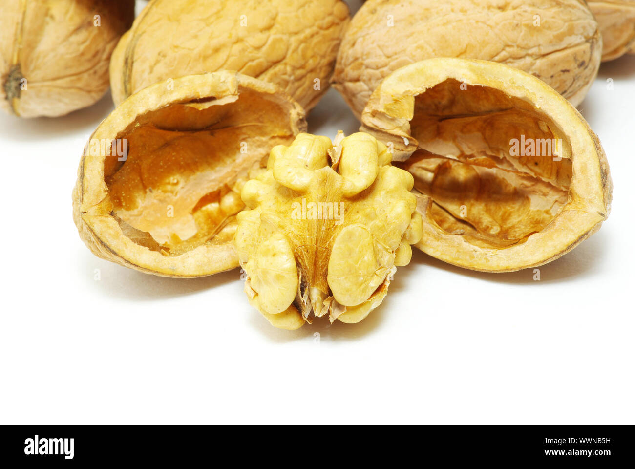 fresh walnuts isolated on a white background Stock Photo - Alamy