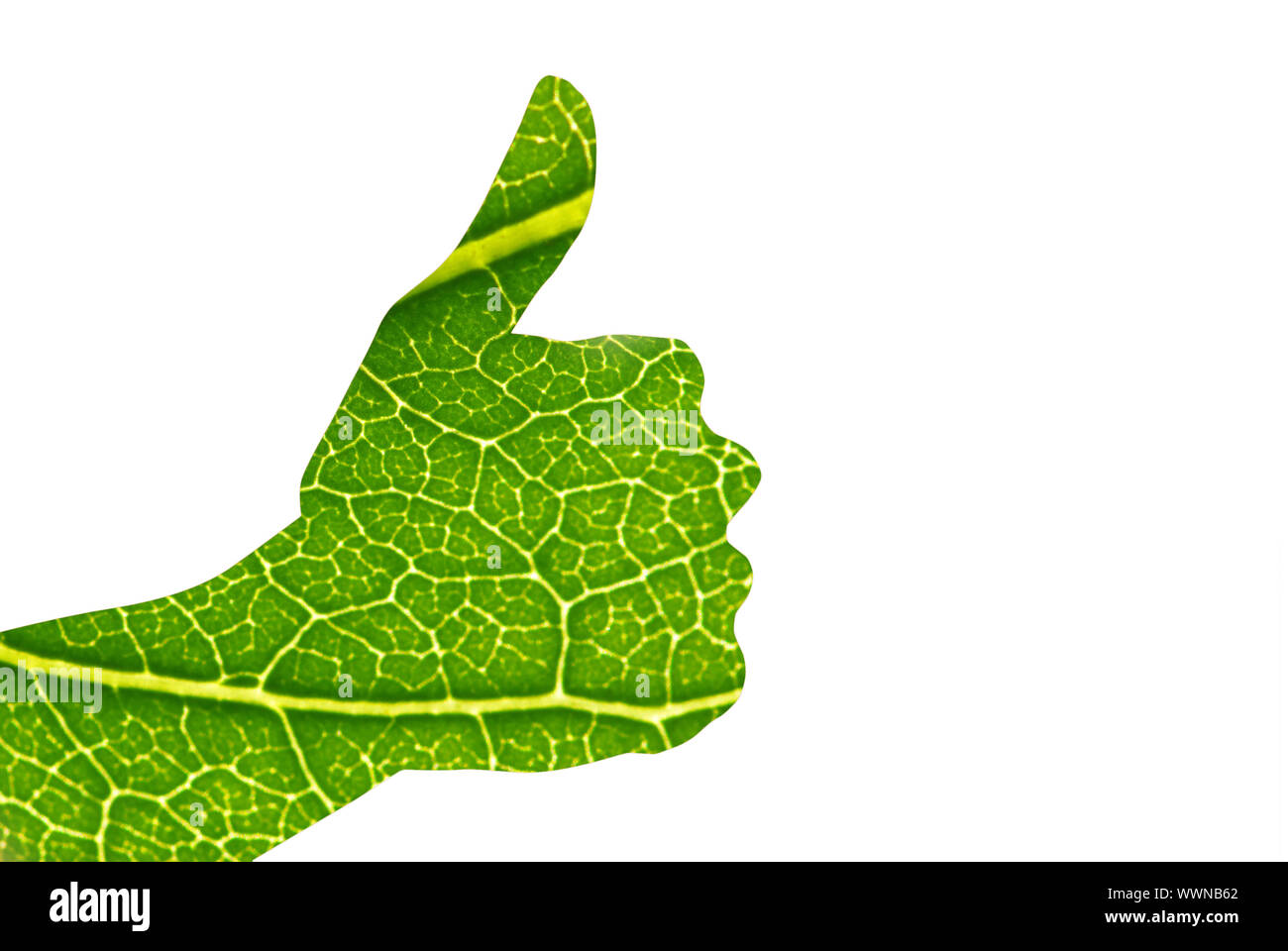 success hand sign isolated on white Stock Photo - Alamy