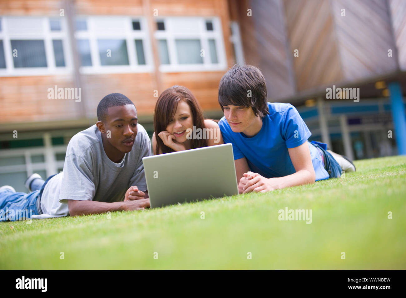 College students using laptop on campus lawn Stock Photo - Alamy