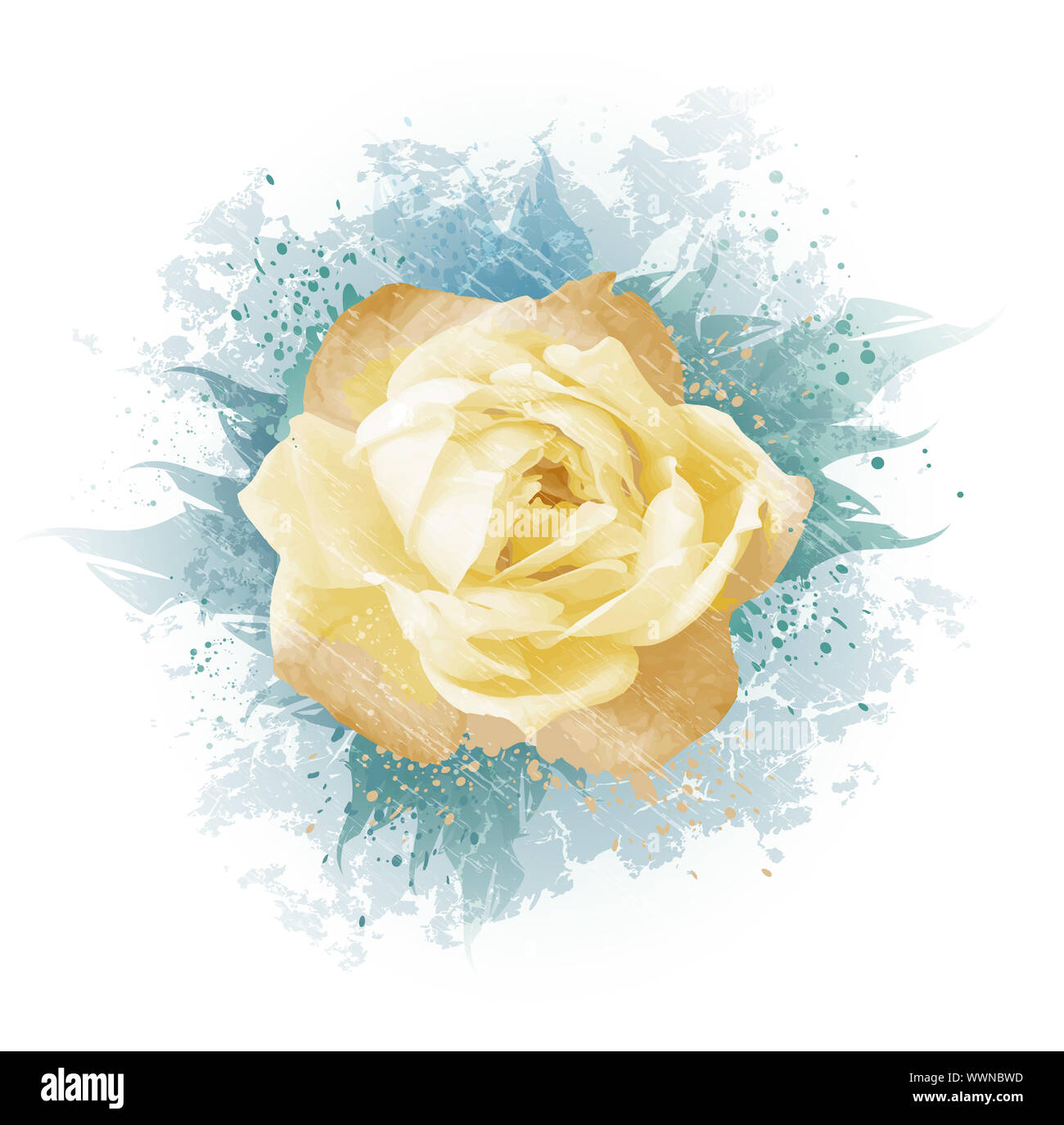 Illustration drawing yellow rose flower hi-res stock photography and ...