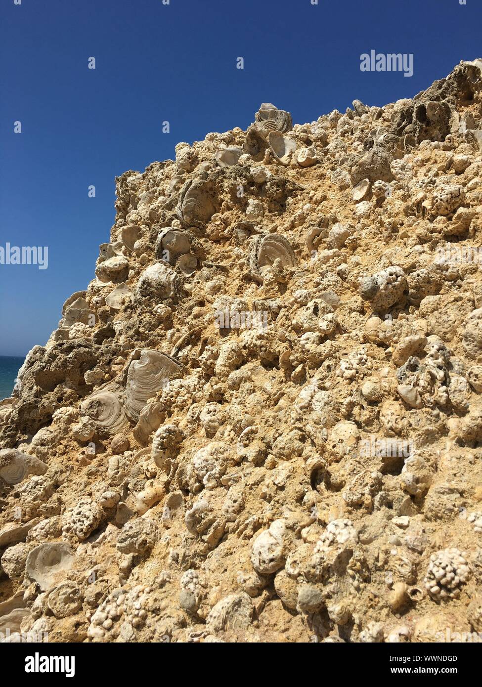 Fossils fosiles hi-res stock photography and images - Alamy