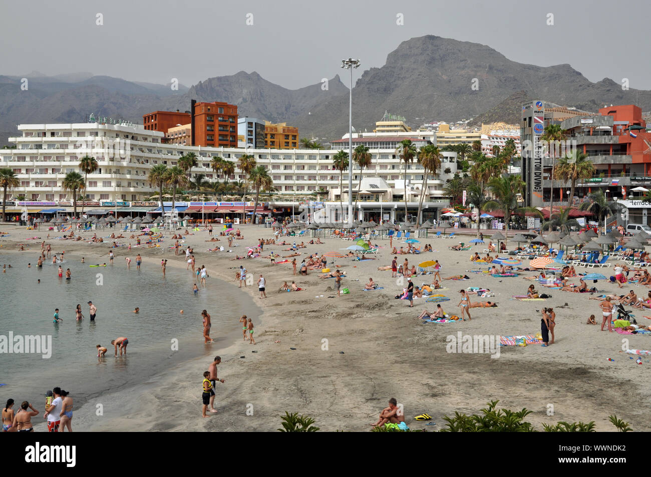 Playa de la Pinta , Costa Adeje, Teneriff Stock Photo - Alamy