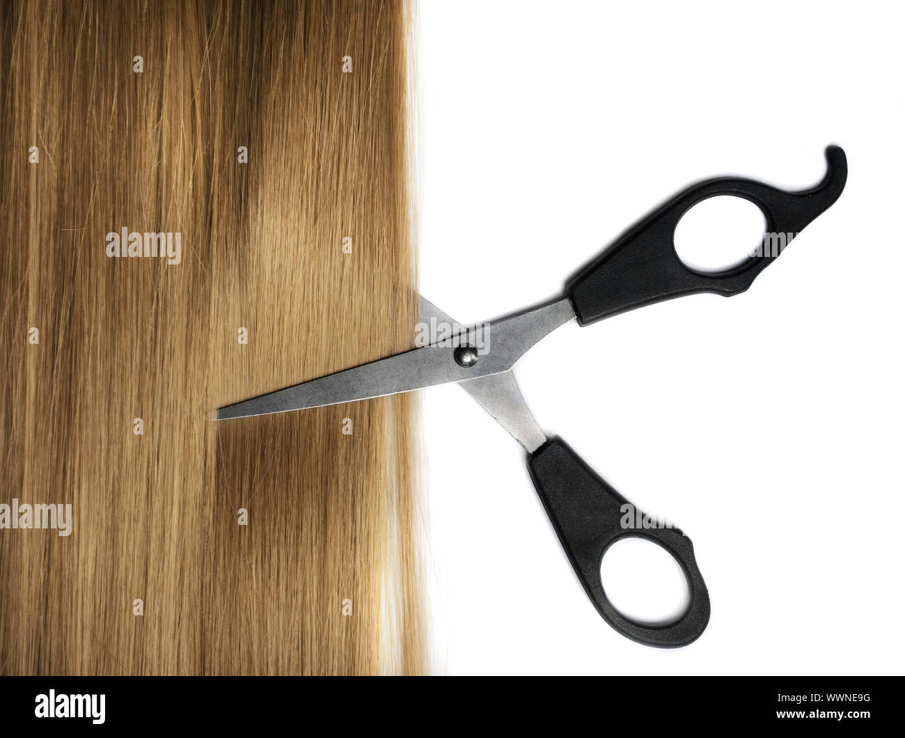 Long healthy blond hair and professional scissors over white Stock ...