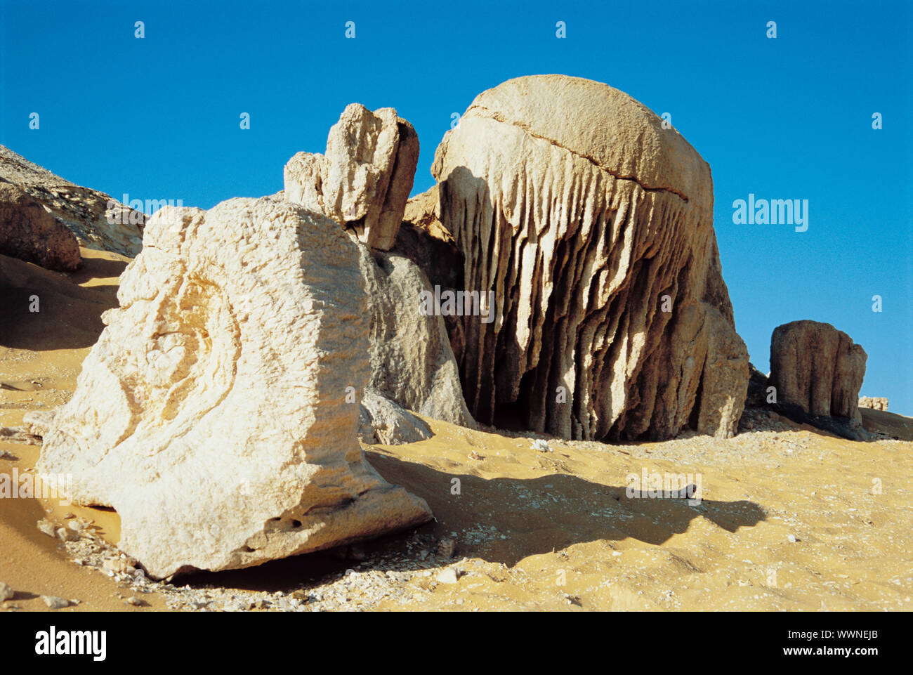 Weird odd strange strangeness hi-res stock photography and images - Alamy
