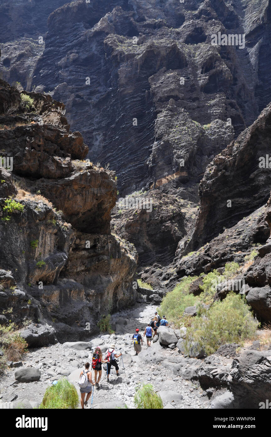 Hiking in the Masca Gorge, Tenerife Stock Photo - Alamy