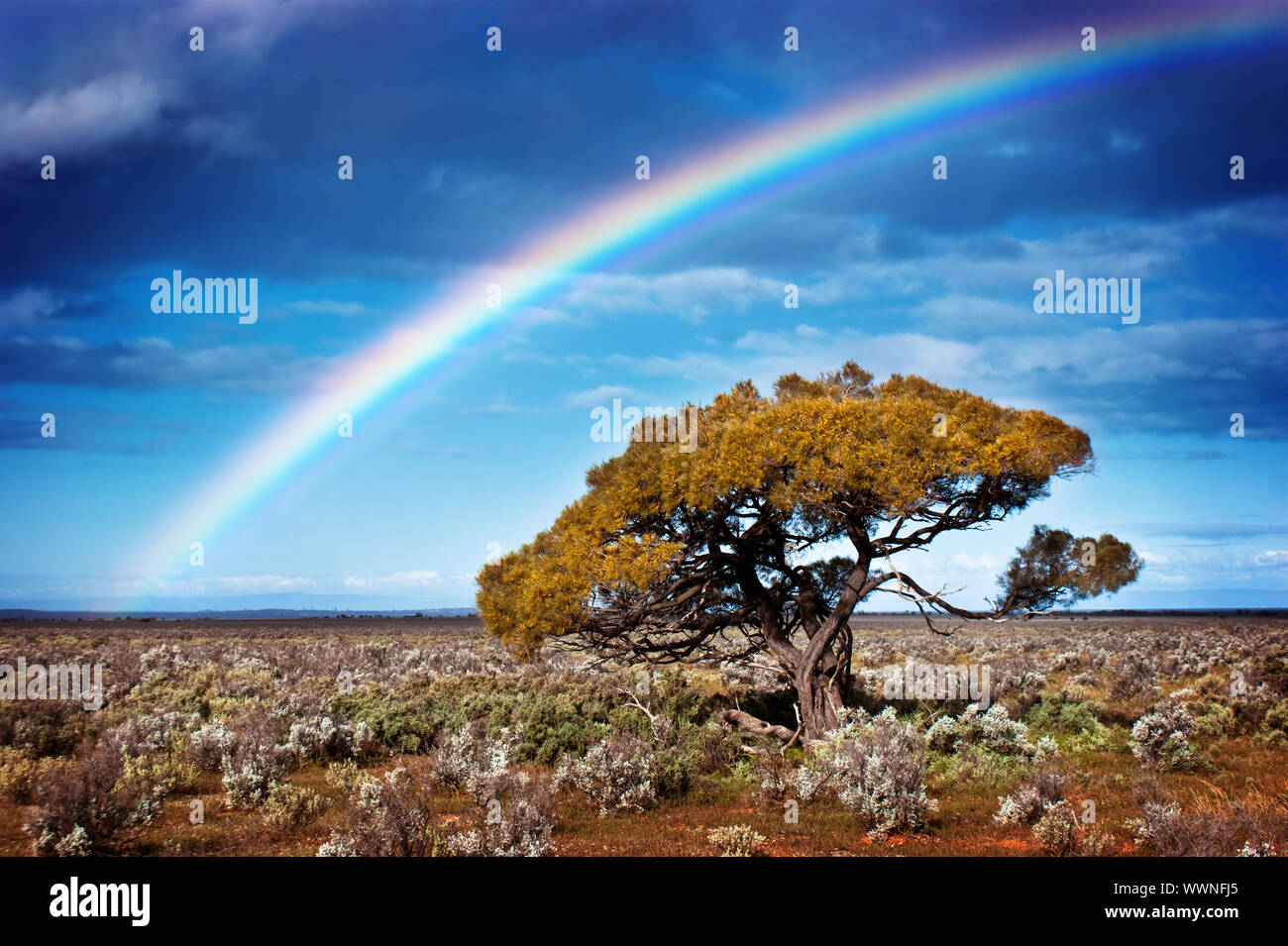 Rainbow god hi-res stock photography and images - Alamy