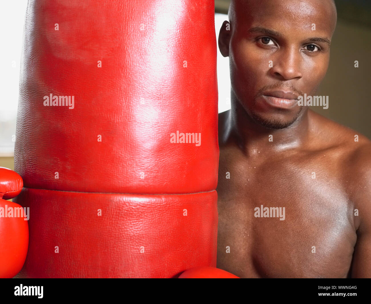 Muscular African American Boxer Stock Photo - Alamy
