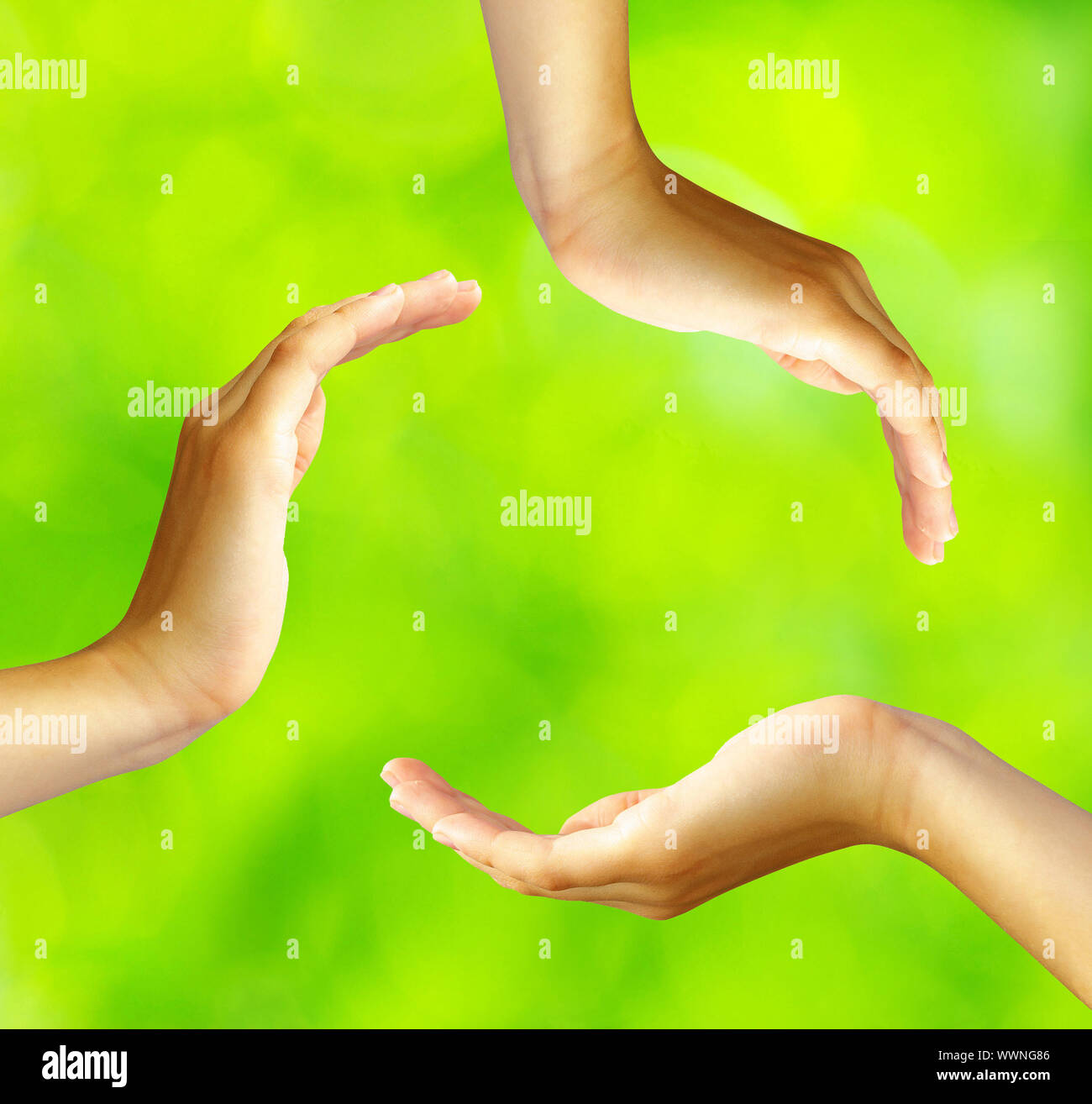 Recycling symbol made from hands on white Stock Photo - Alamy