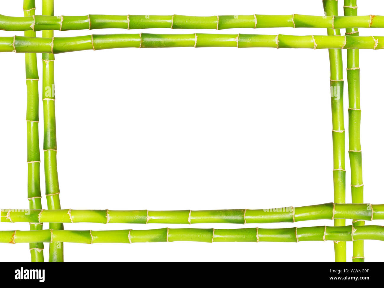 Bamboo frame made of stems on white Stock Photo - Alamy