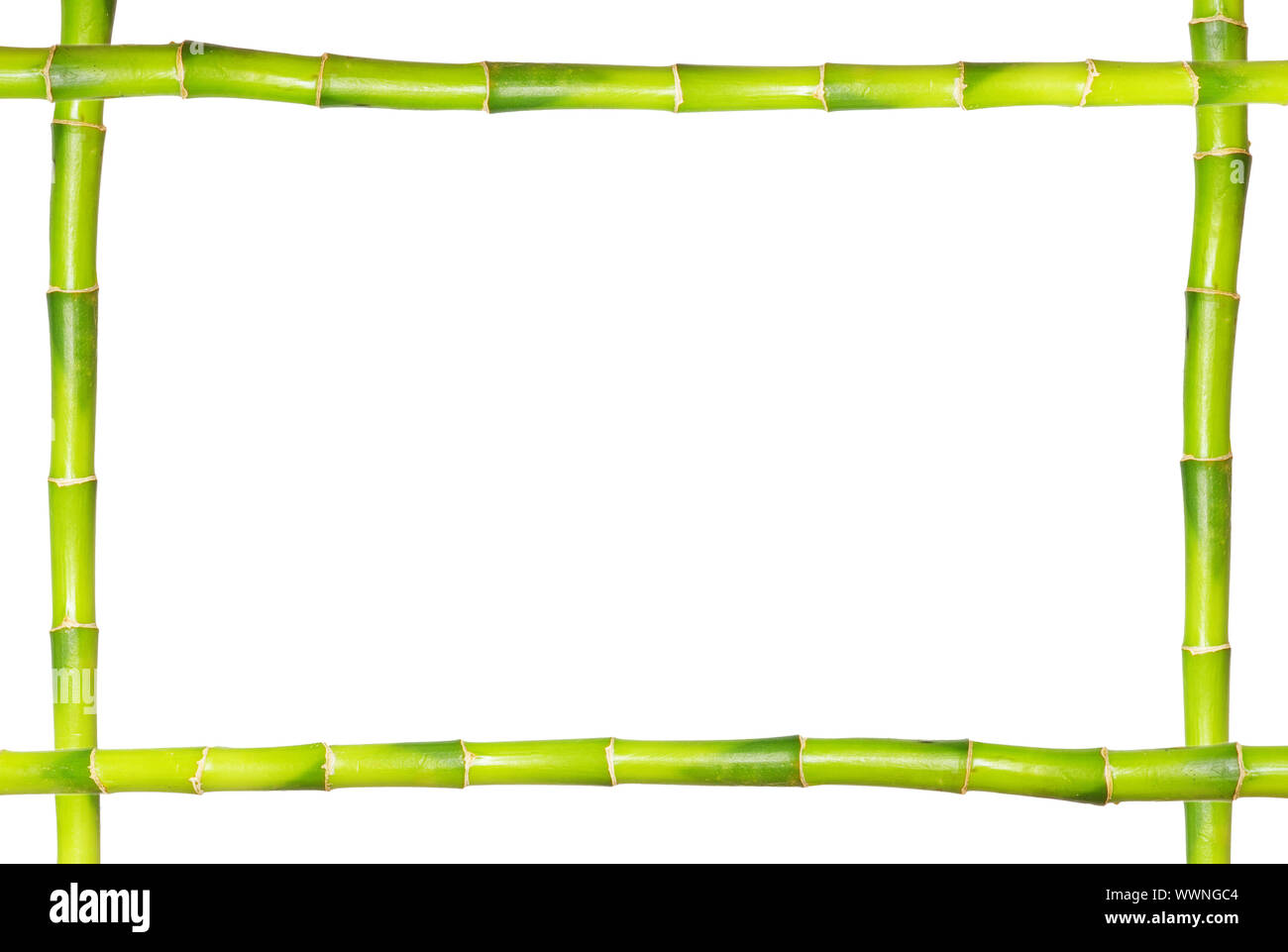Bamboo frame made of stems on white Stock Photo - Alamy