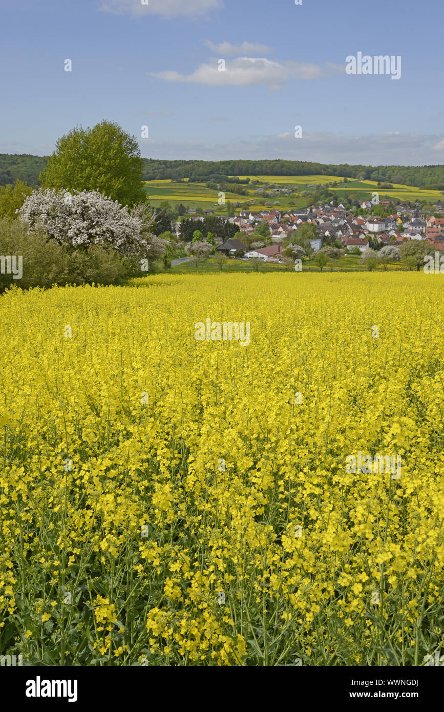 The taunus mountains hi-res stock photography and images - Alamy
