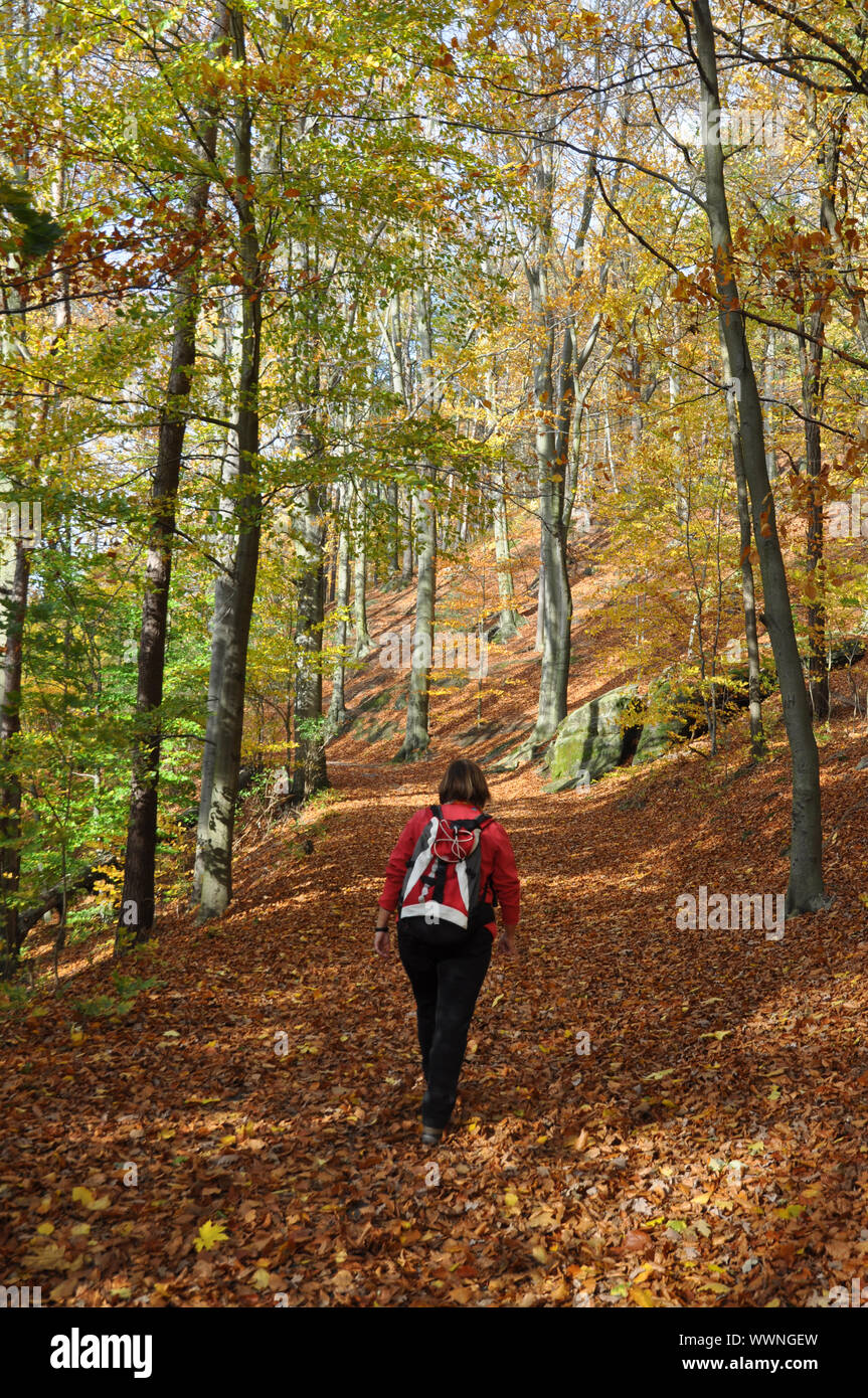 Hiking in autumn Stock Photo - Alamy