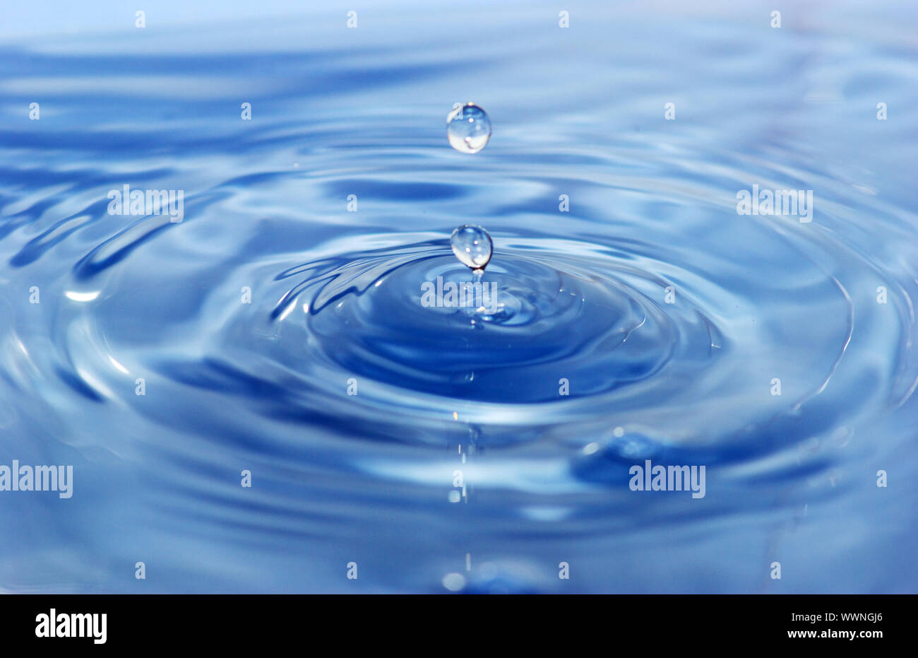 The round transparent drop of water falls downward Stock Photo - Alamy