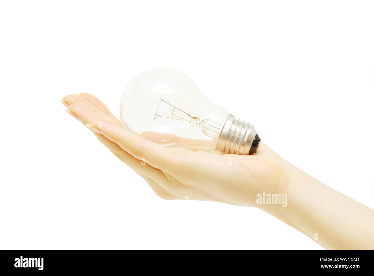 Female hand holding bulb isolated on white background Stock Photo - Alamy