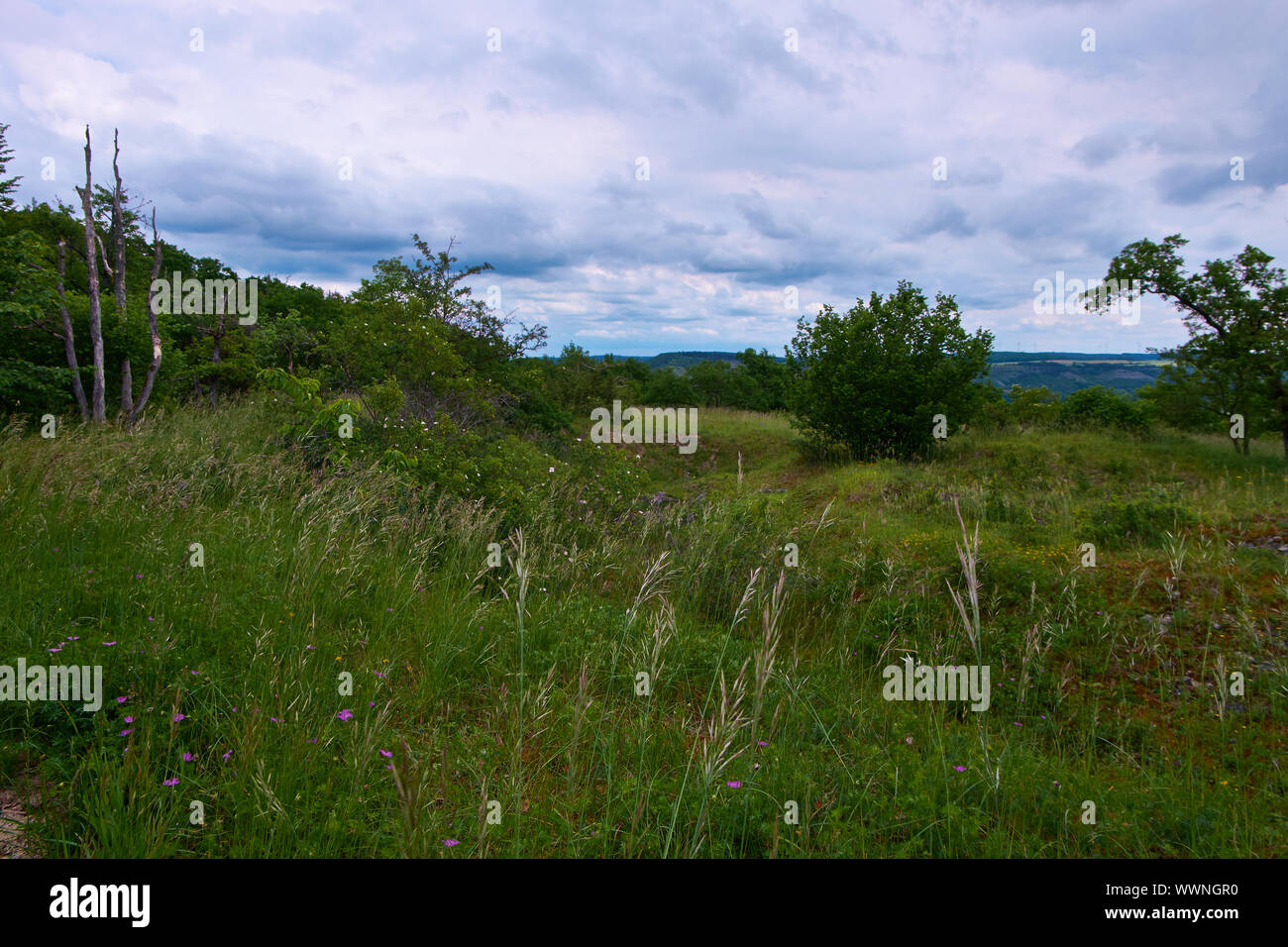 Spessart naturpark High Resolution Stock Photography and Images - Alamy