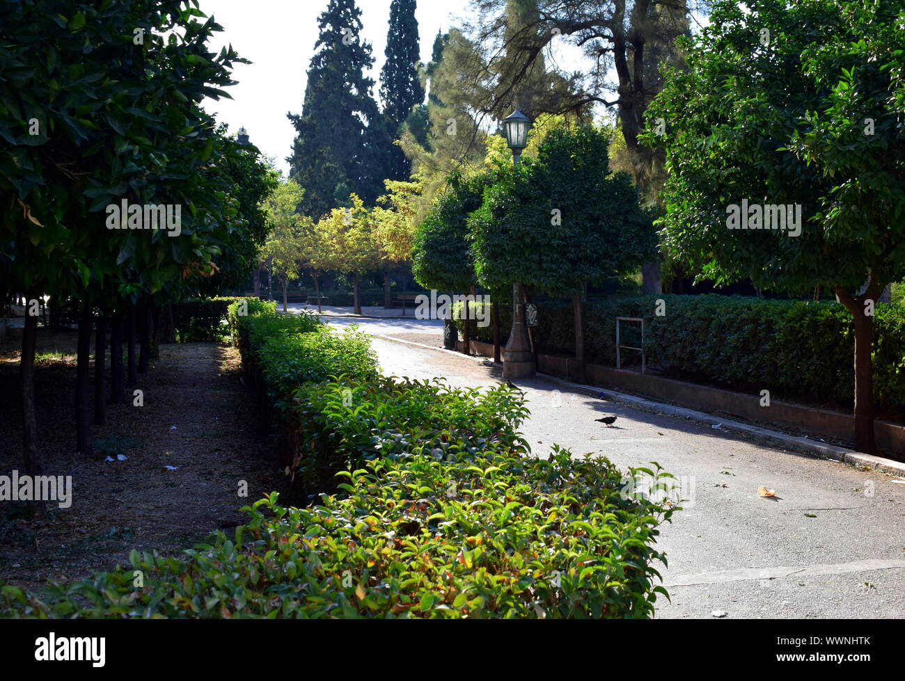 national, garden, trees, flowers, palmtrees, Athens, Greece Stock Photo ...