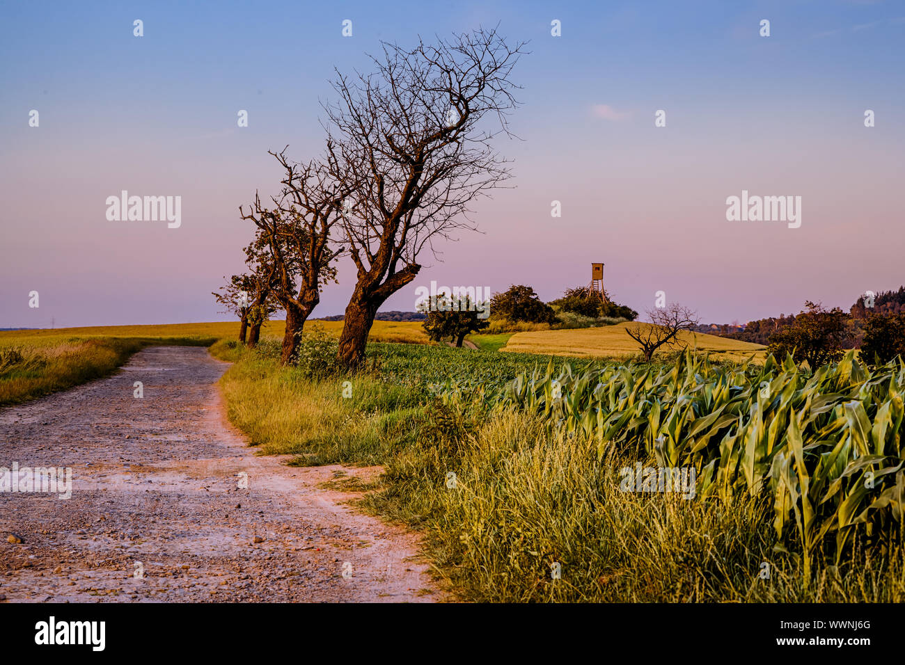 Landscape in evening mood Stock Photo - Alamy