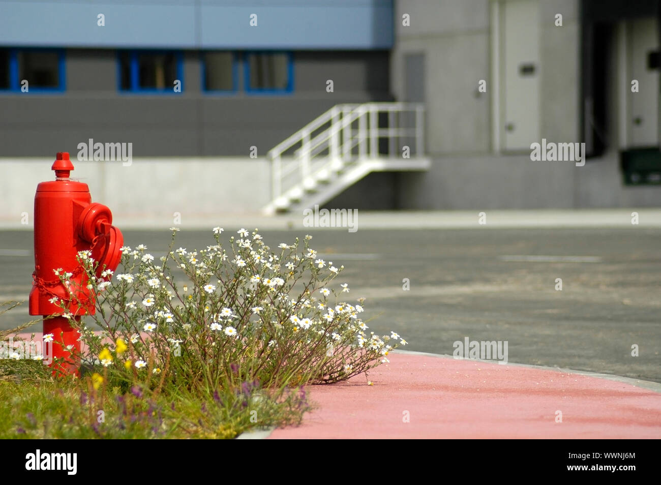 A fire hydrant close to a office or industrial building to represent ...
