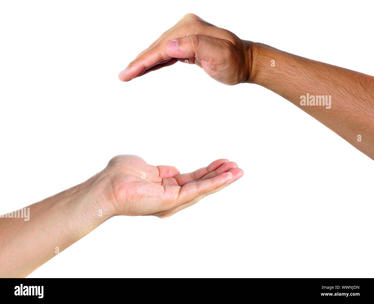 Two hands facing each other, representing protection Stock Photo - Alamy