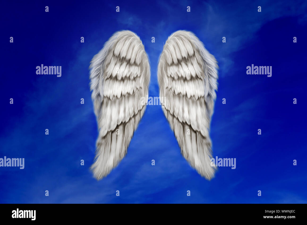 Angel wings on a dark blue sky Stock Photo - Alamy