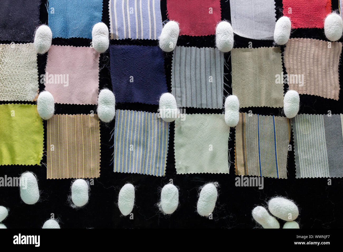 Silk fabric samples and silk cocoons Stock Photo - Alamy