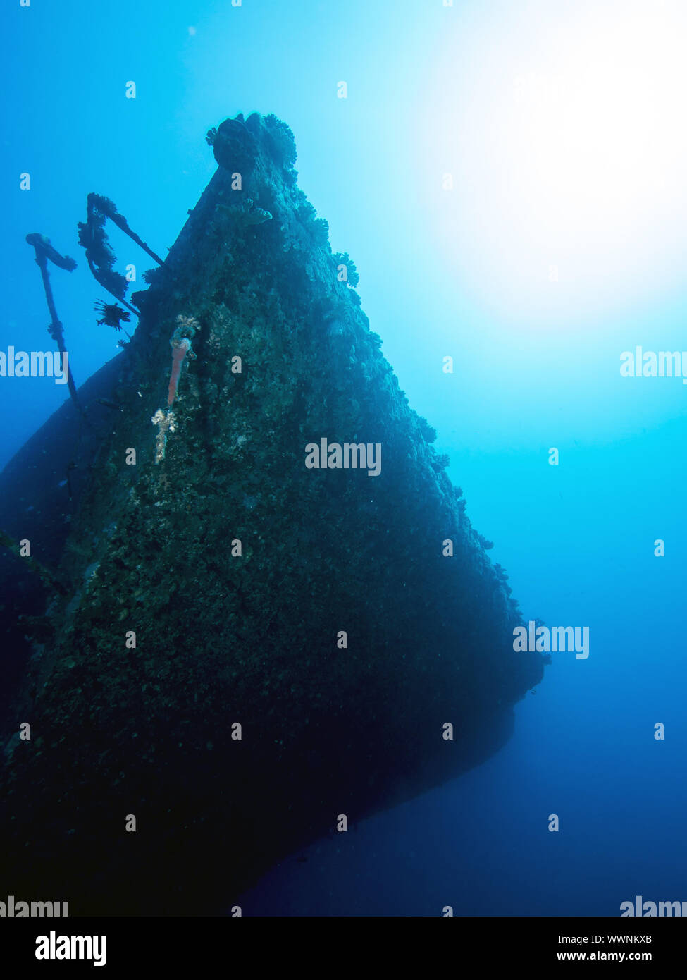 salem express wreck Stock Photo - Alamy