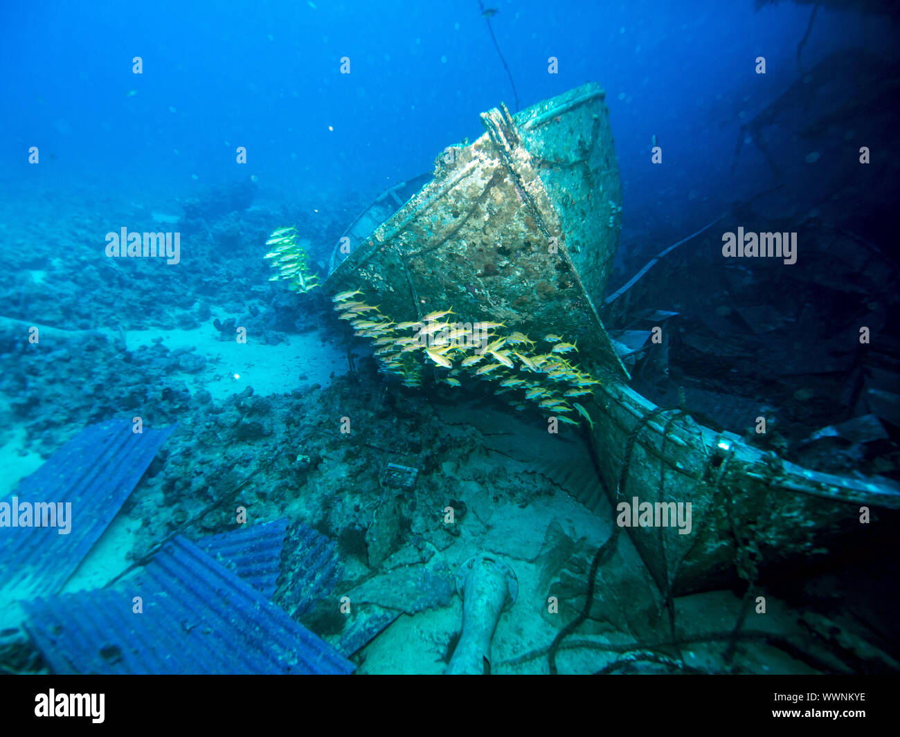 salem express wreck Stock Photo - Alamy