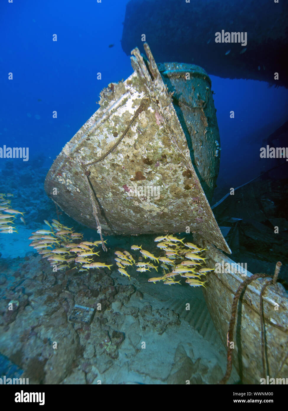 Salem express wreck hi-res stock photography and images - Alamy