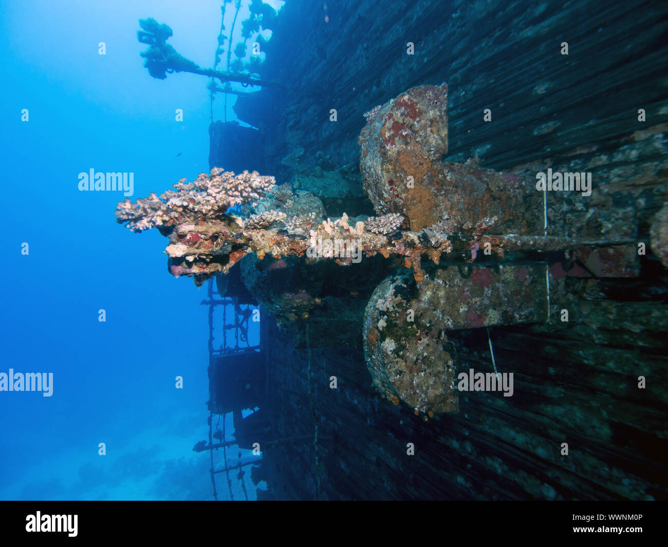 salem express wreck Stock Photo - Alamy