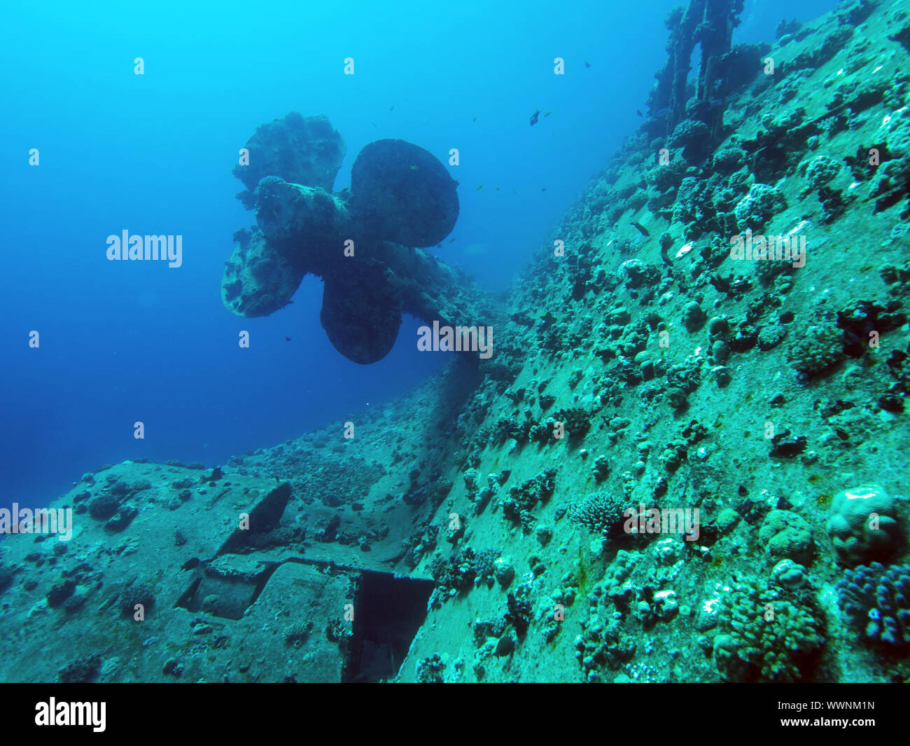 salem express wreck Stock Photo - Alamy